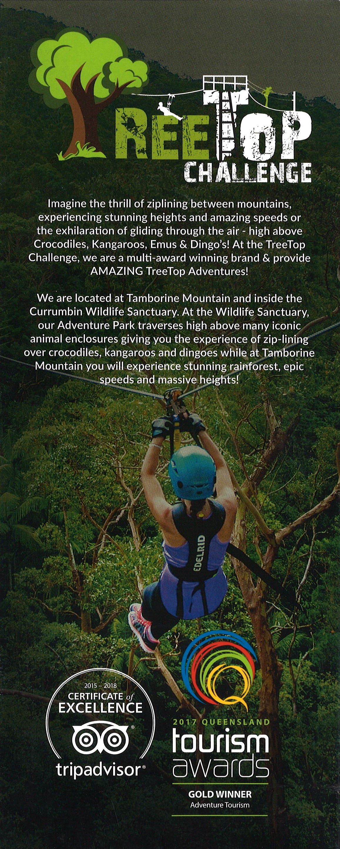 Treetop Challenge DL | Surfers Paradise Brochure Service