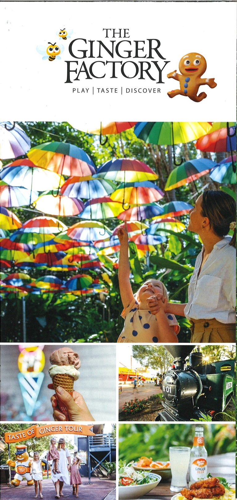 The Ginger Factory | Surfers Paradise Brochure Service