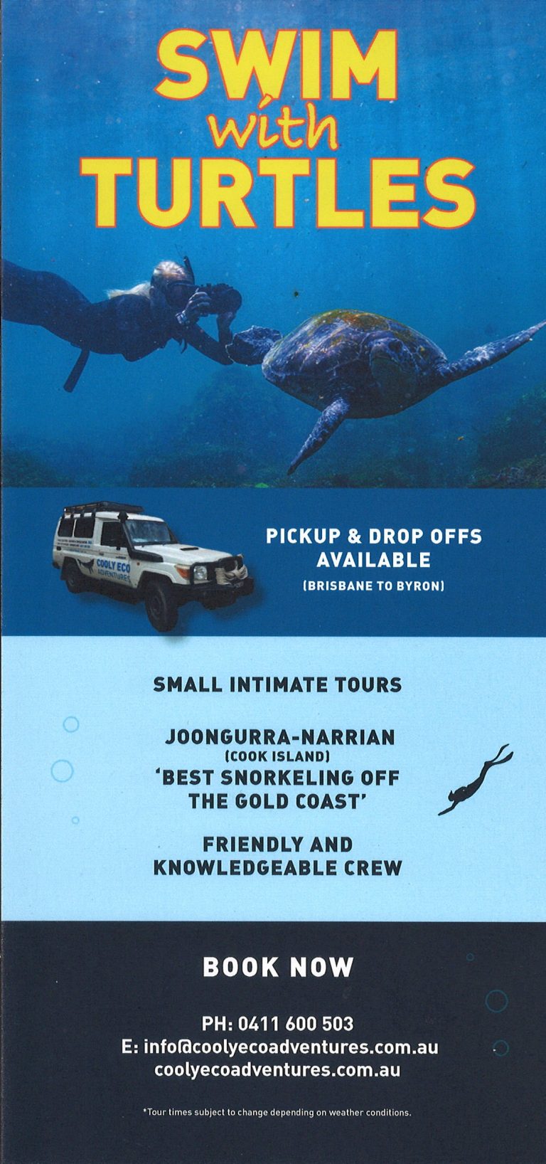 Cooly Eco Adventures – Turtles | Surfers Paradise Brochure Service